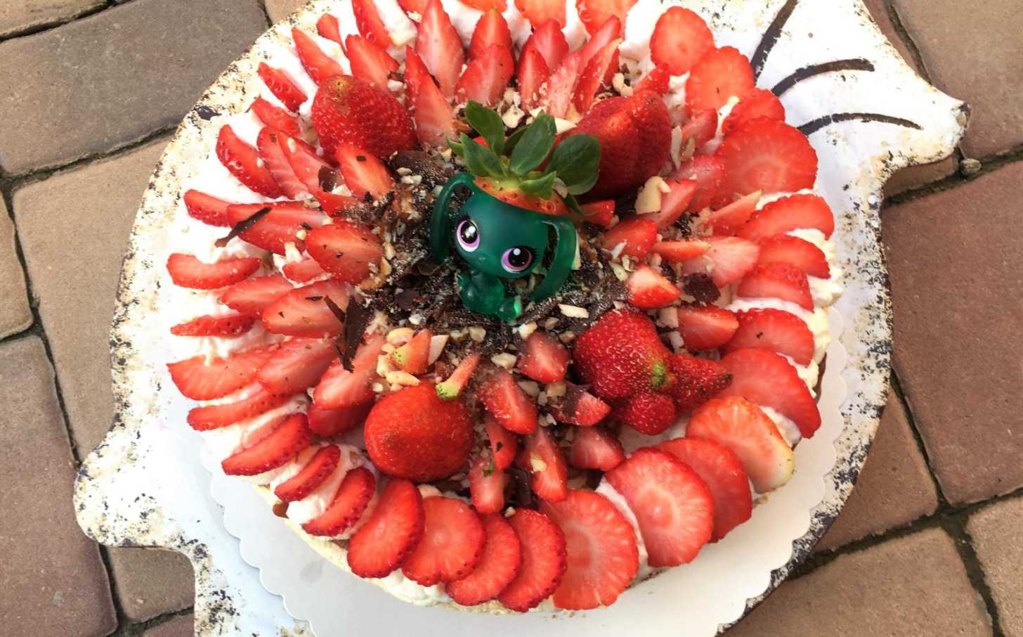 Low carb dort Malakov - Jídelní plán