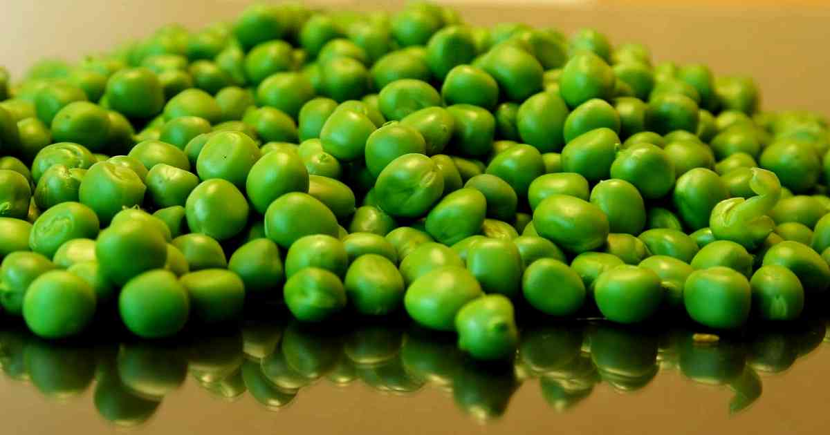 Právě v sezóně - zelený hrášek - Magazín - Jídelní plán